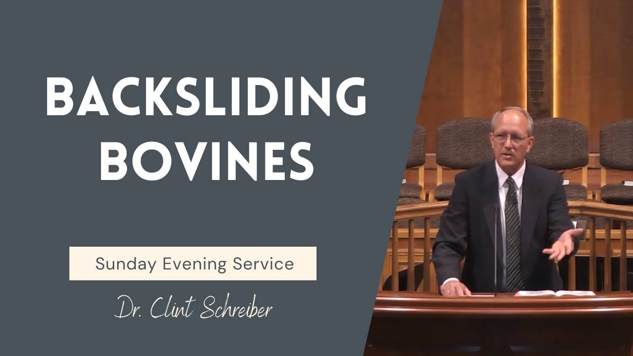 Backsliding Bovines – Fairhaven Baptist Church